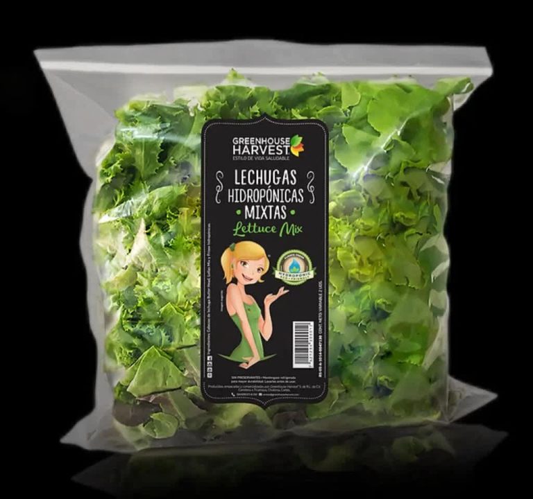LECHUGA HIDROPONICA MIXTA - Planeta Orgánico